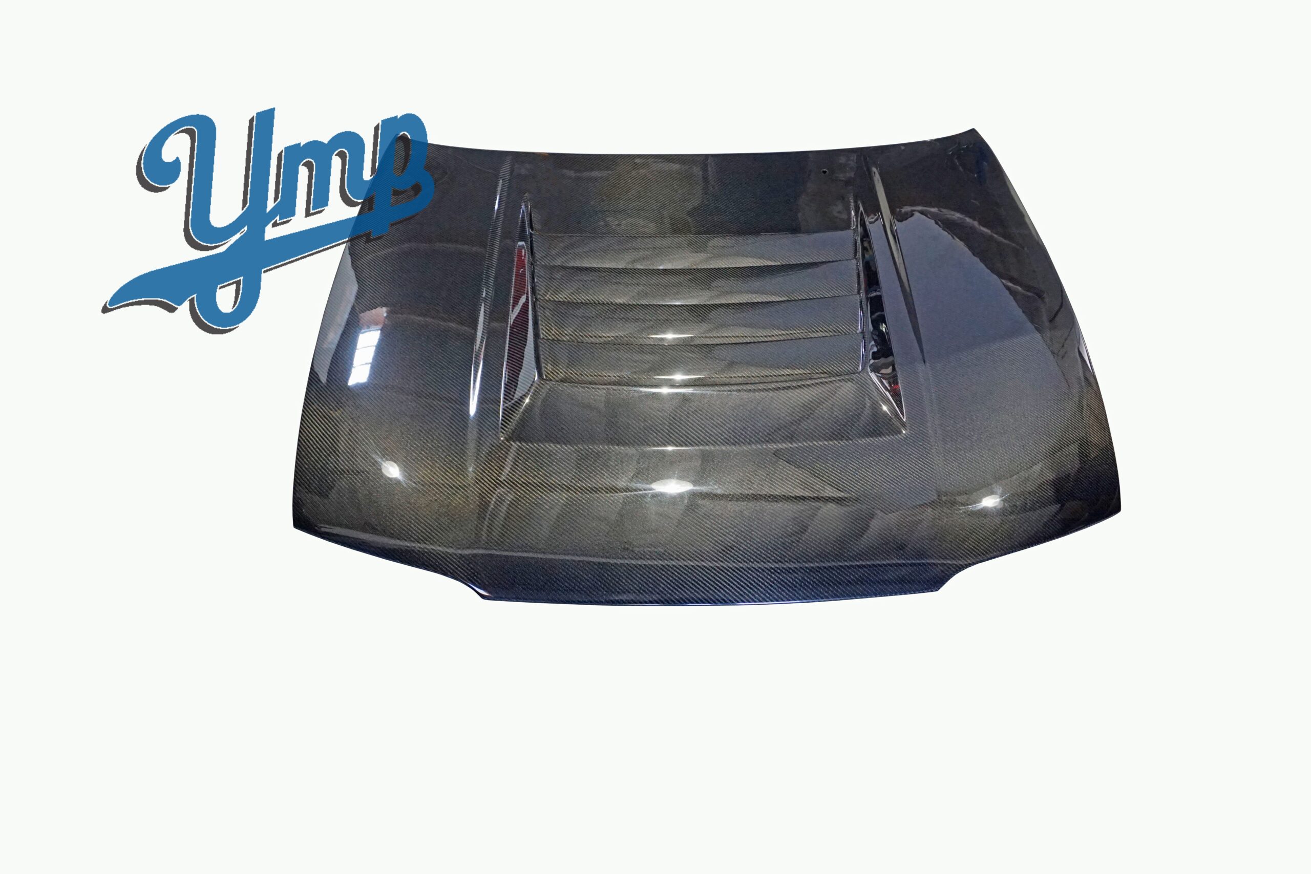 YMP Design Spec Z Hood (Carbon Fiber): Nissan GTR R33 1995-1998 - EPI ...